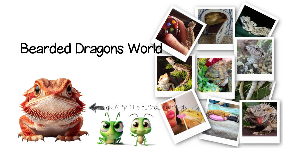 The Wonderful World of Bearded Dragons